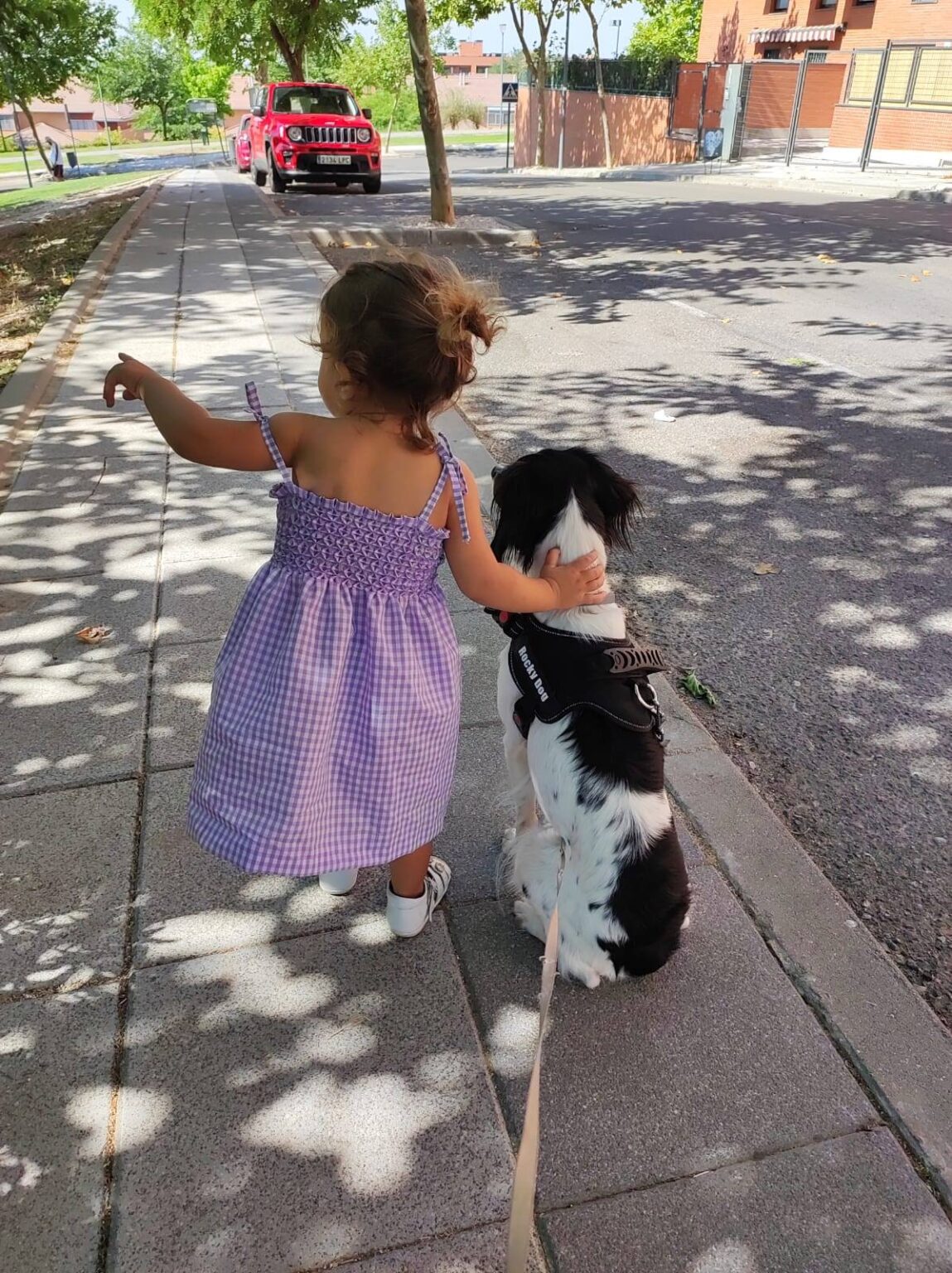 The Therapeutic Power of Pets: Enhancing Family Well-Being for Children with Autism Spectrum ...